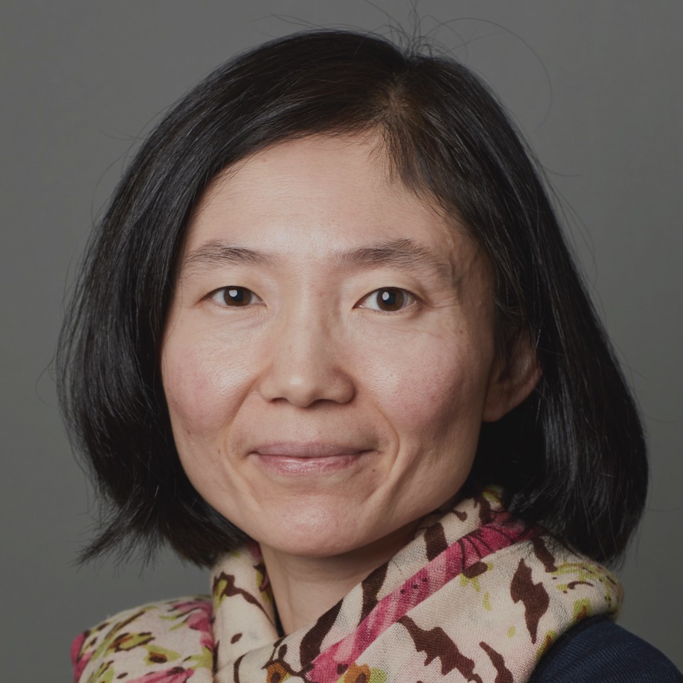 Dr. Yuhua Bao Receives Grants to Study Implications of Opioid and Other ...